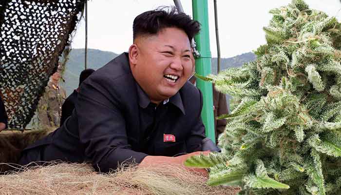 Can North Korea Teach the West How to Have A Humane Cannabis Policy? – VJMP